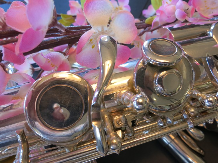 2024 Festival Registration – International Low Flutes Festival